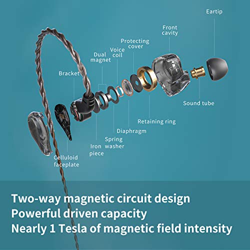 FIIO FD1 In-Ear Earphones, Beryllium-Plated Dynamic Driver - Best Earphones